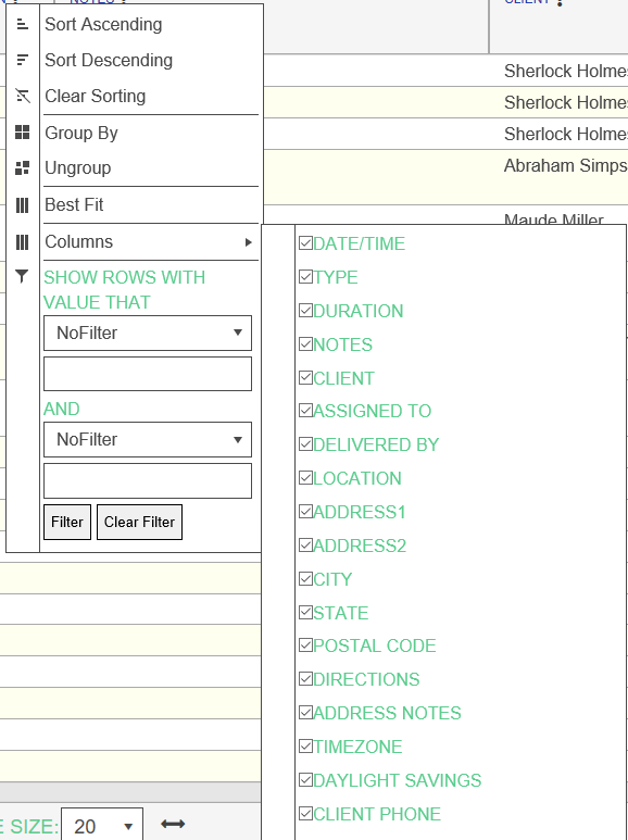 Interactive Query - Resize or Hide Columns
